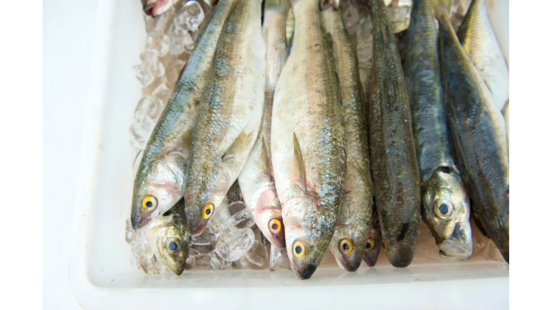 Straight from the Farm Produce — Visit Mornington Peninsula.