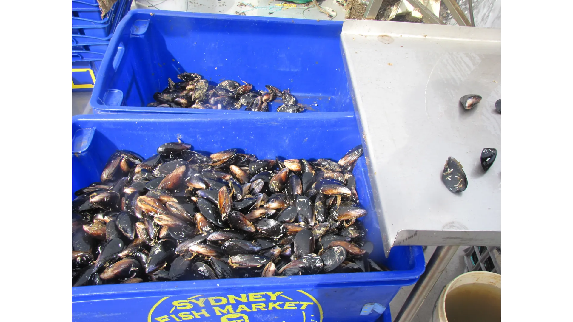 Straight from the Farm Produce — Visit Mornington Peninsula.