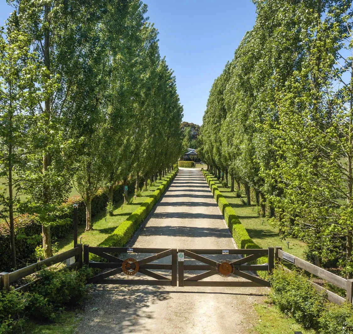Vineyard + Farm Stay — Visit Mornington Peninsula.