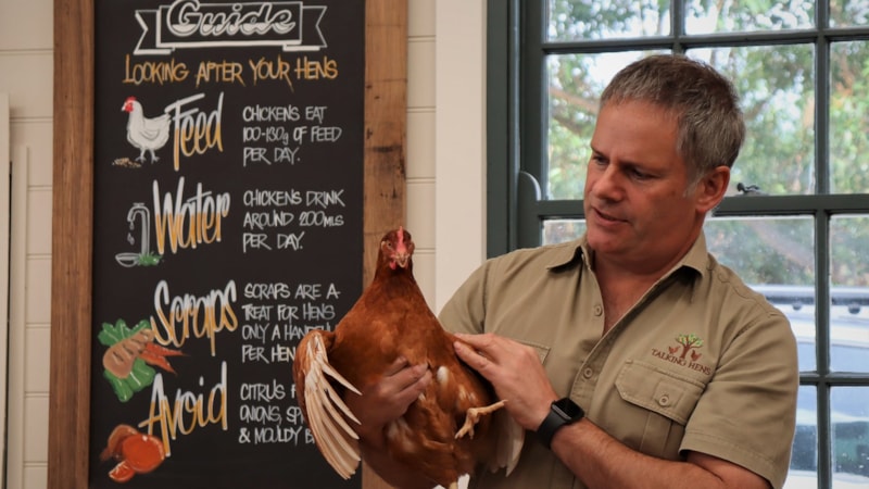 Point Leo — Visit Mornington Peninsula.