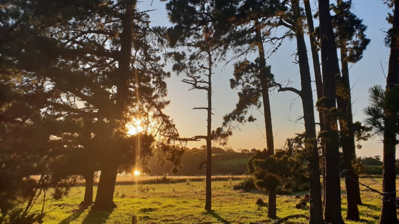 Balnarring — Accommodation, Weather, Restaurants — Visit Mornington ...