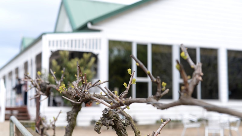 Tyabb — Visit Mornington Peninsula.
