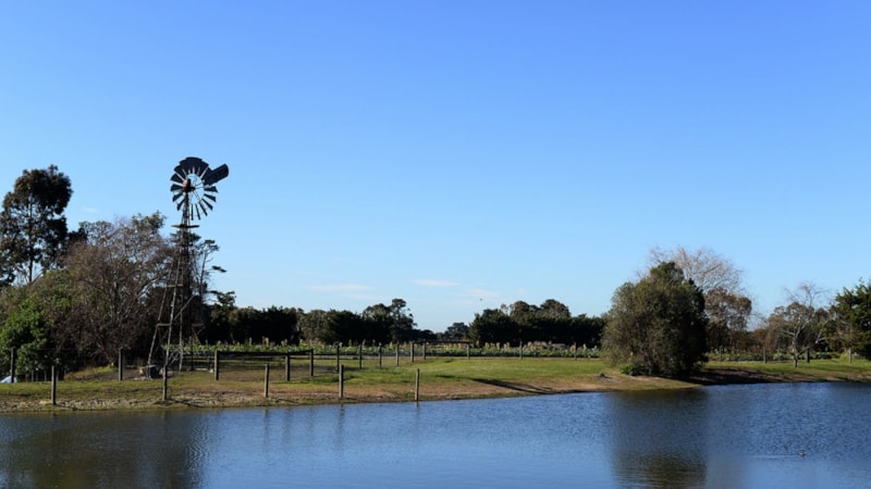 Frankston — Visit Mornington Peninsula.