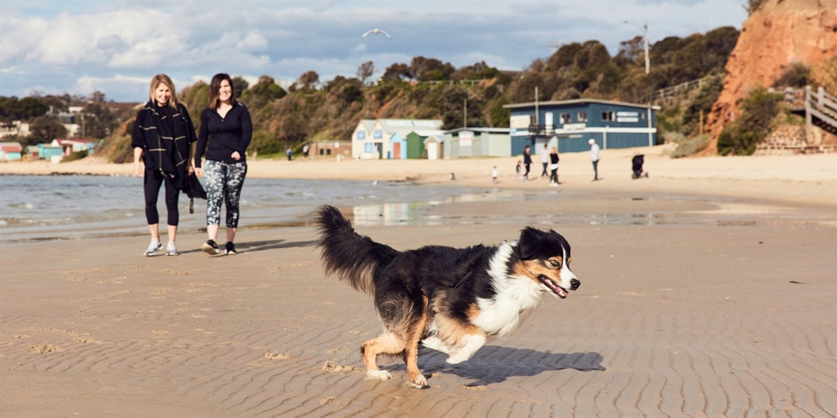 Mornington - Visit Mornington Peninsula
