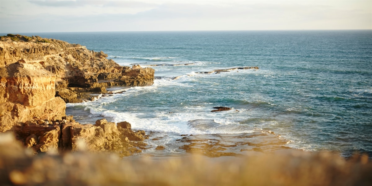 Wild winter beauty on the Mornington Peninsula - Visit Mornington Peninsula