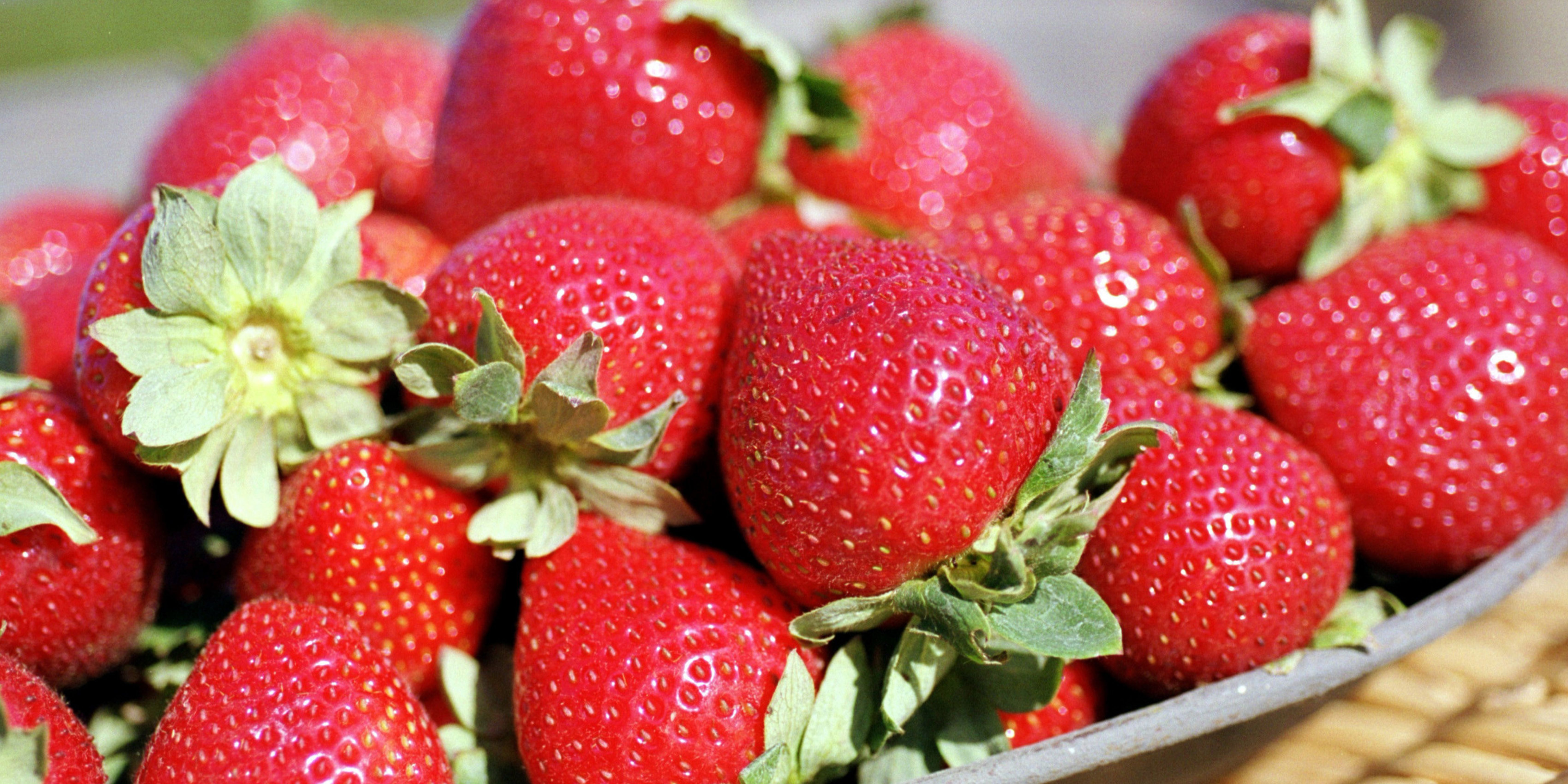 Berries, Cherries and so much more... - Visit Mornington Peninsula