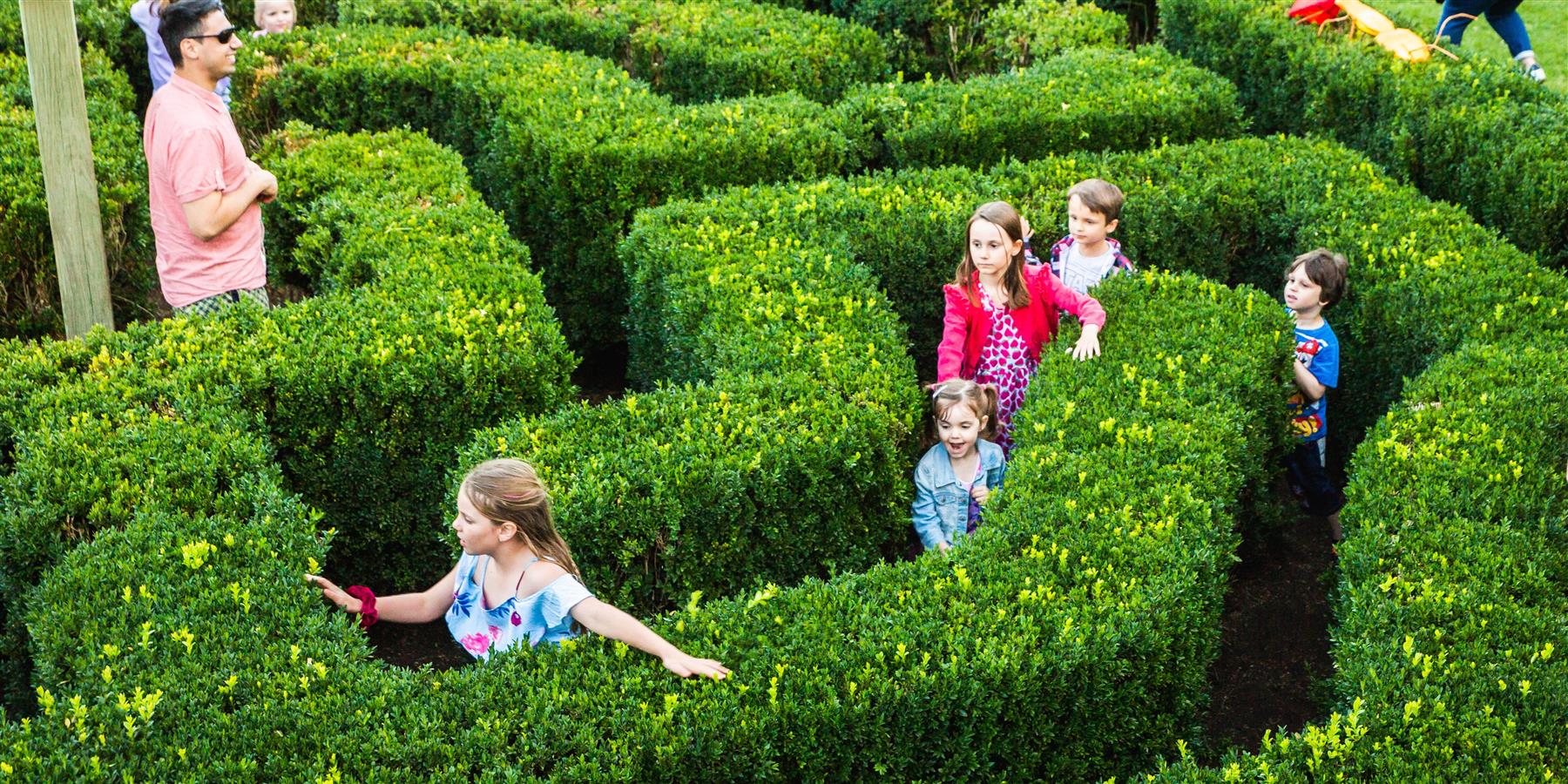 Fall In Love With These 5 Inspiring Gardens - Visit Mornington Peninsula