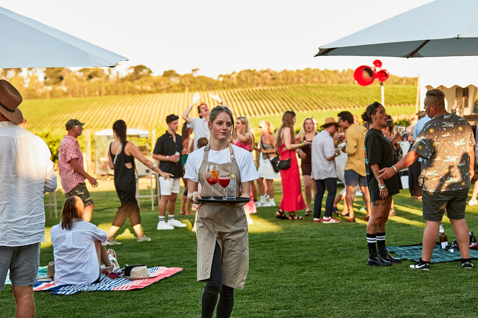Wine + Wineries — Visit Mornington Peninsula.