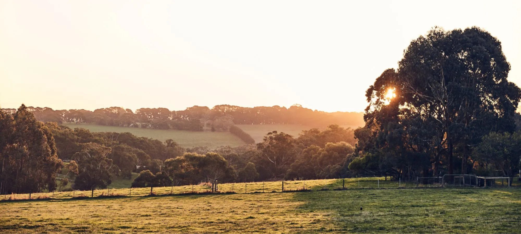 Visit Mornington Peninsula — Official regional tourism website for the ...